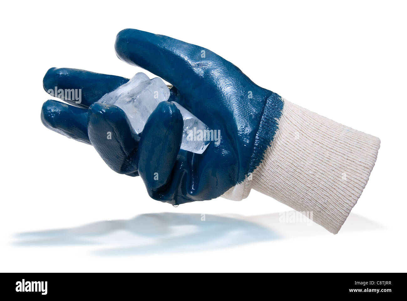 Blue glove hold blocks of ice with reflection isolate on white Stock ...
