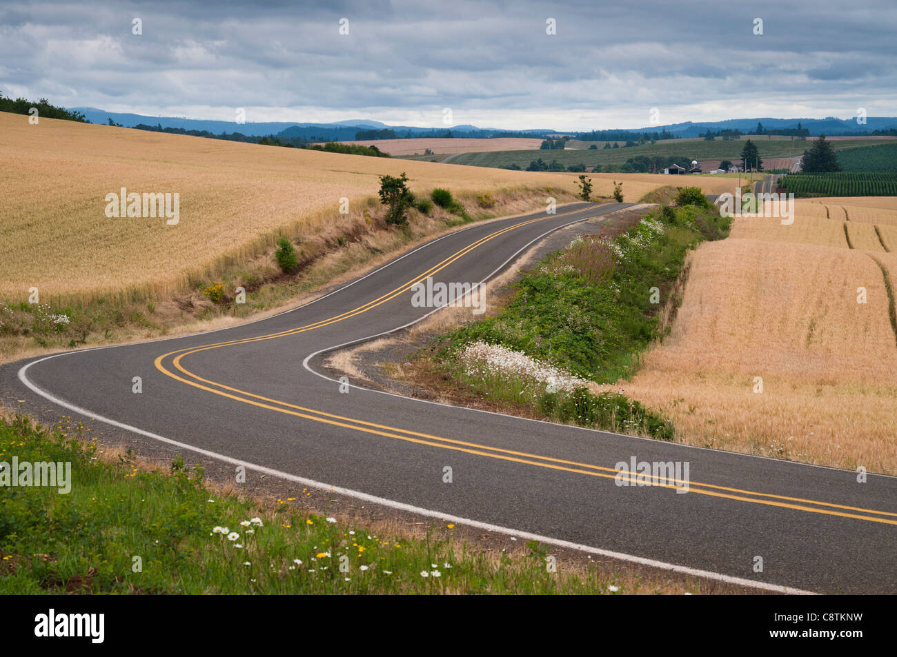 Marion road hi-res stock photography and images - Alamy