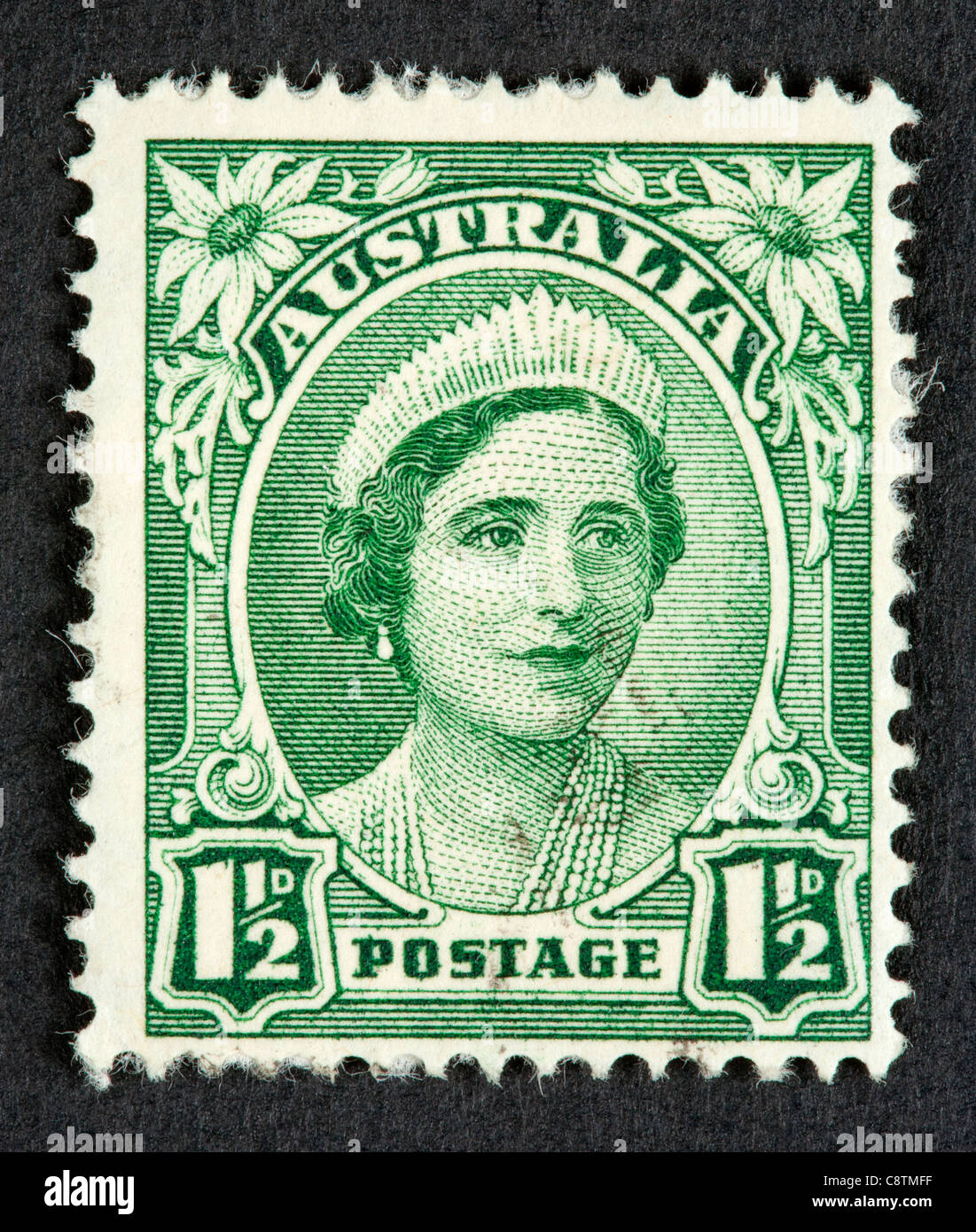 C8tmff hi-res stock photography and images - Alamy