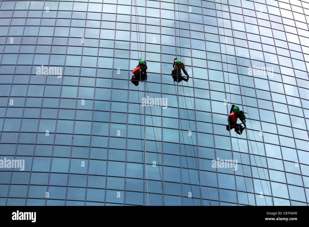 window cleaners hanging on rope at work on skyscraper Stock Photo - Alamy