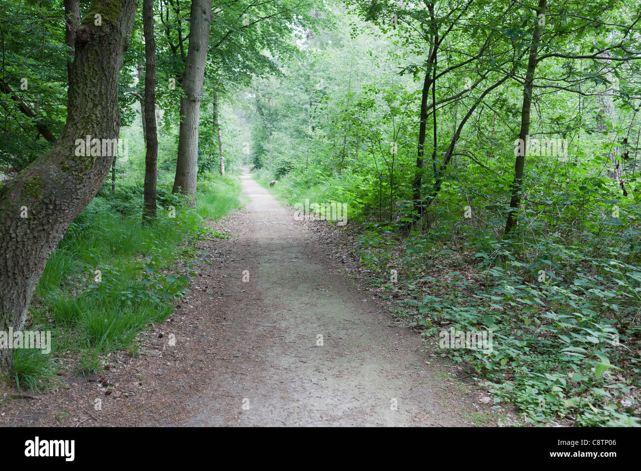 Netherlands north brabant hi-res stock photography and images - Alamy