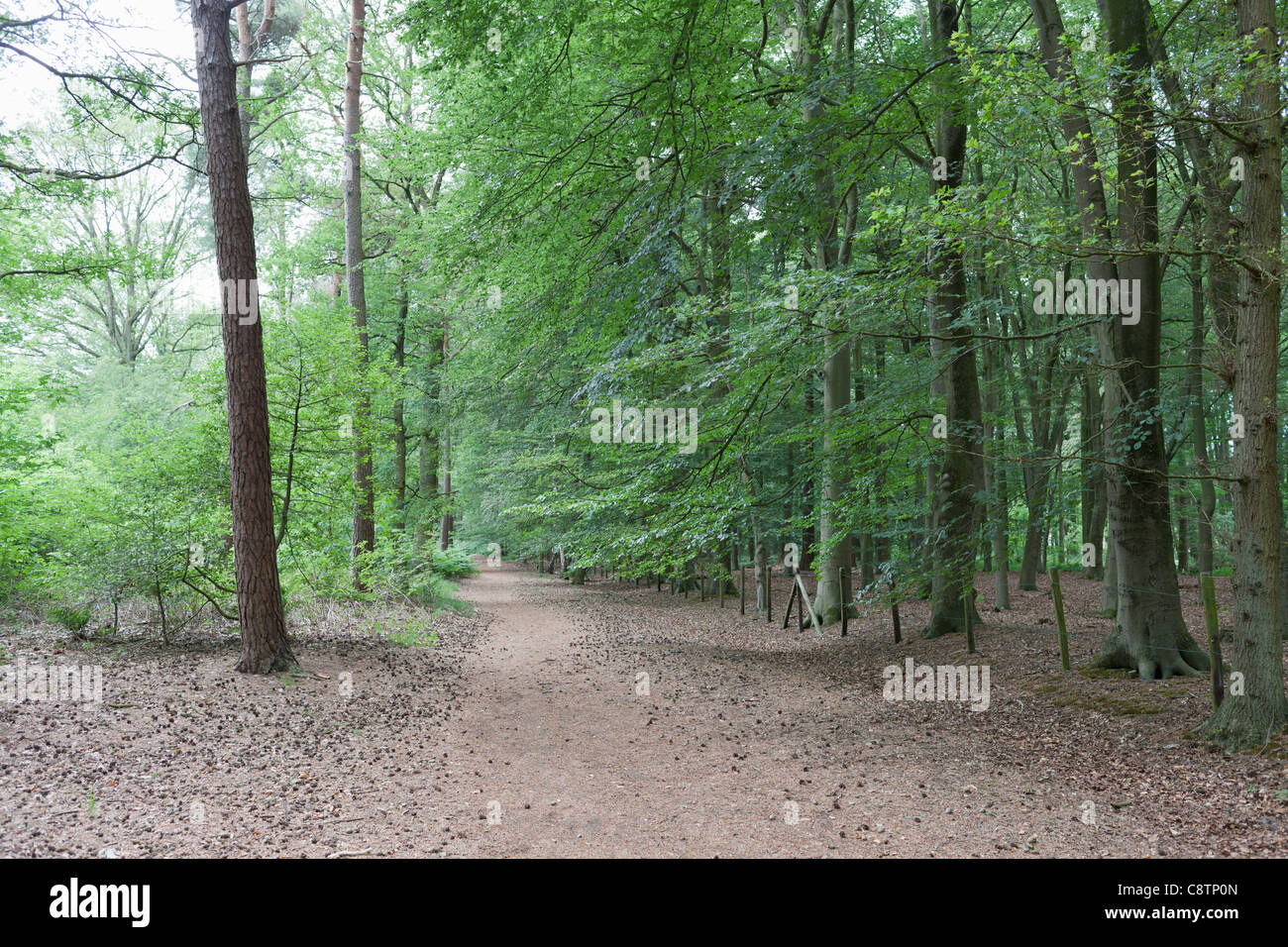 Netherlands north brabant hi-res stock photography and images - Alamy
