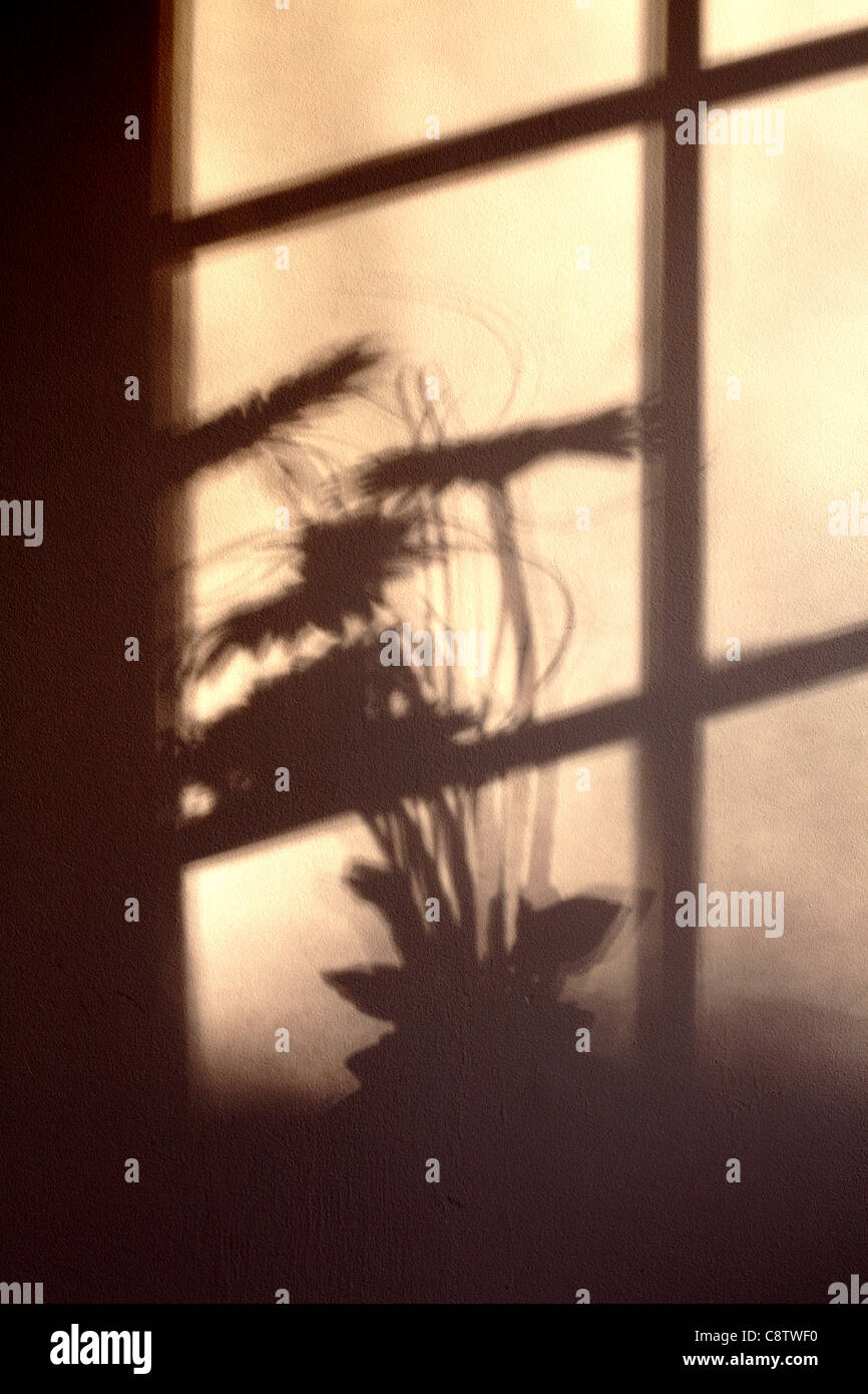 Abstract shadow on a bedroom wall Stock Photo - Alamy
