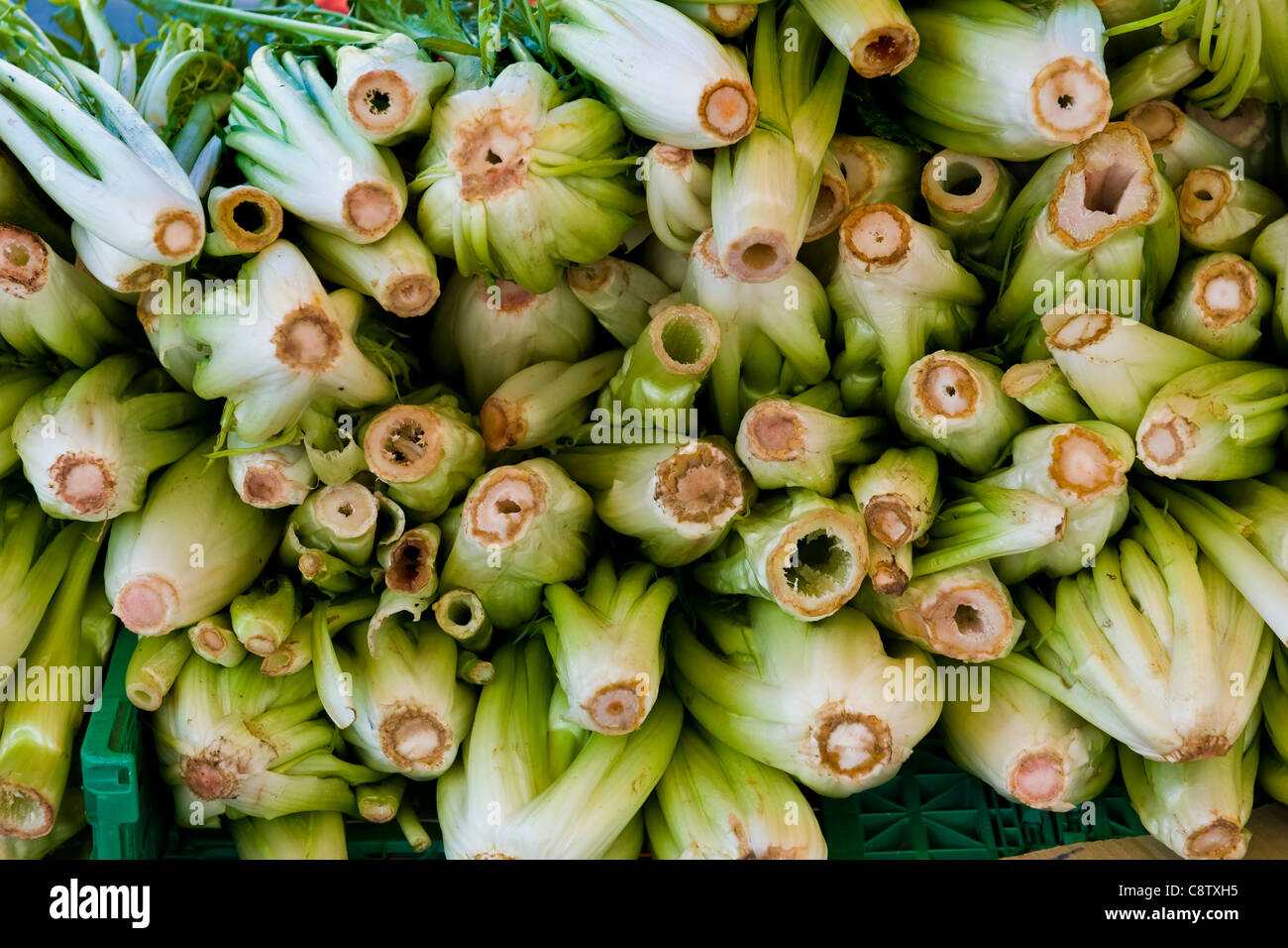 Verdure Color High Resolution Stock Photography and Images - Alamy