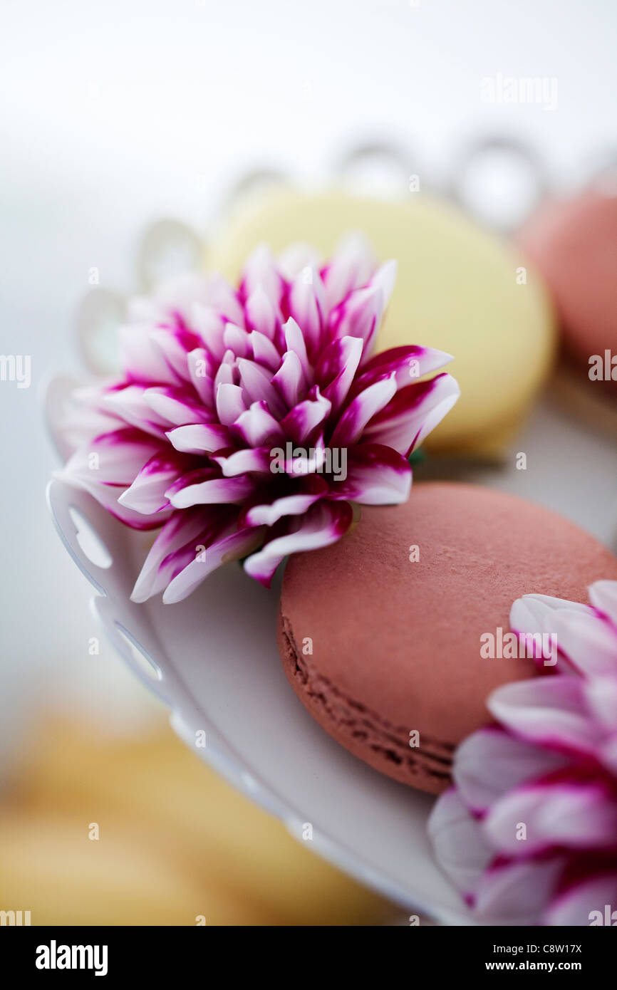 Flowers With Food Stock Photo - Alamy
