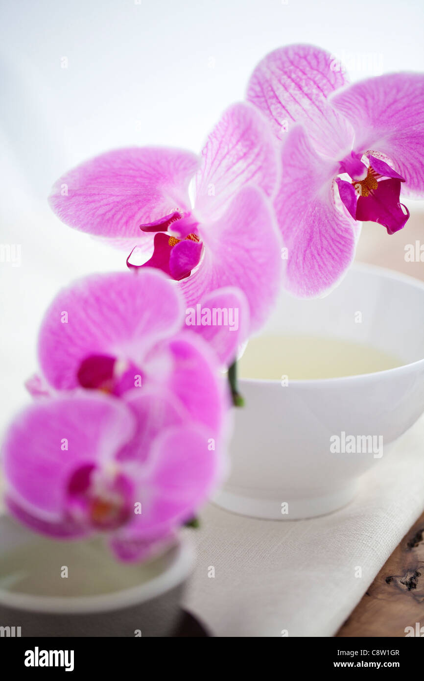 Flower With Tea Stock Photo - Alamy