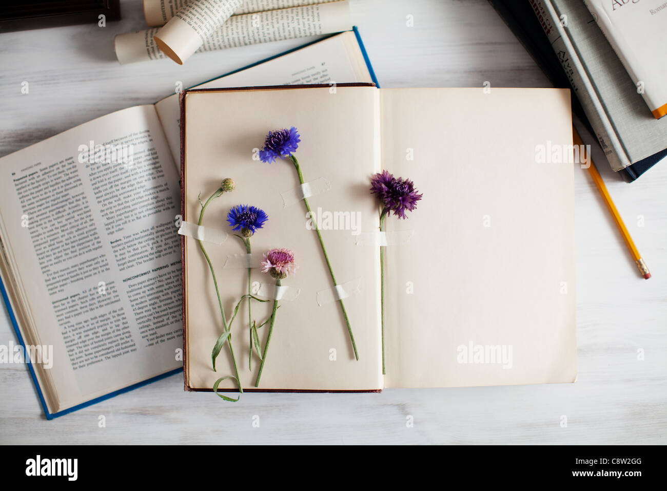 Flowers With Books Stock Photo - Alamy