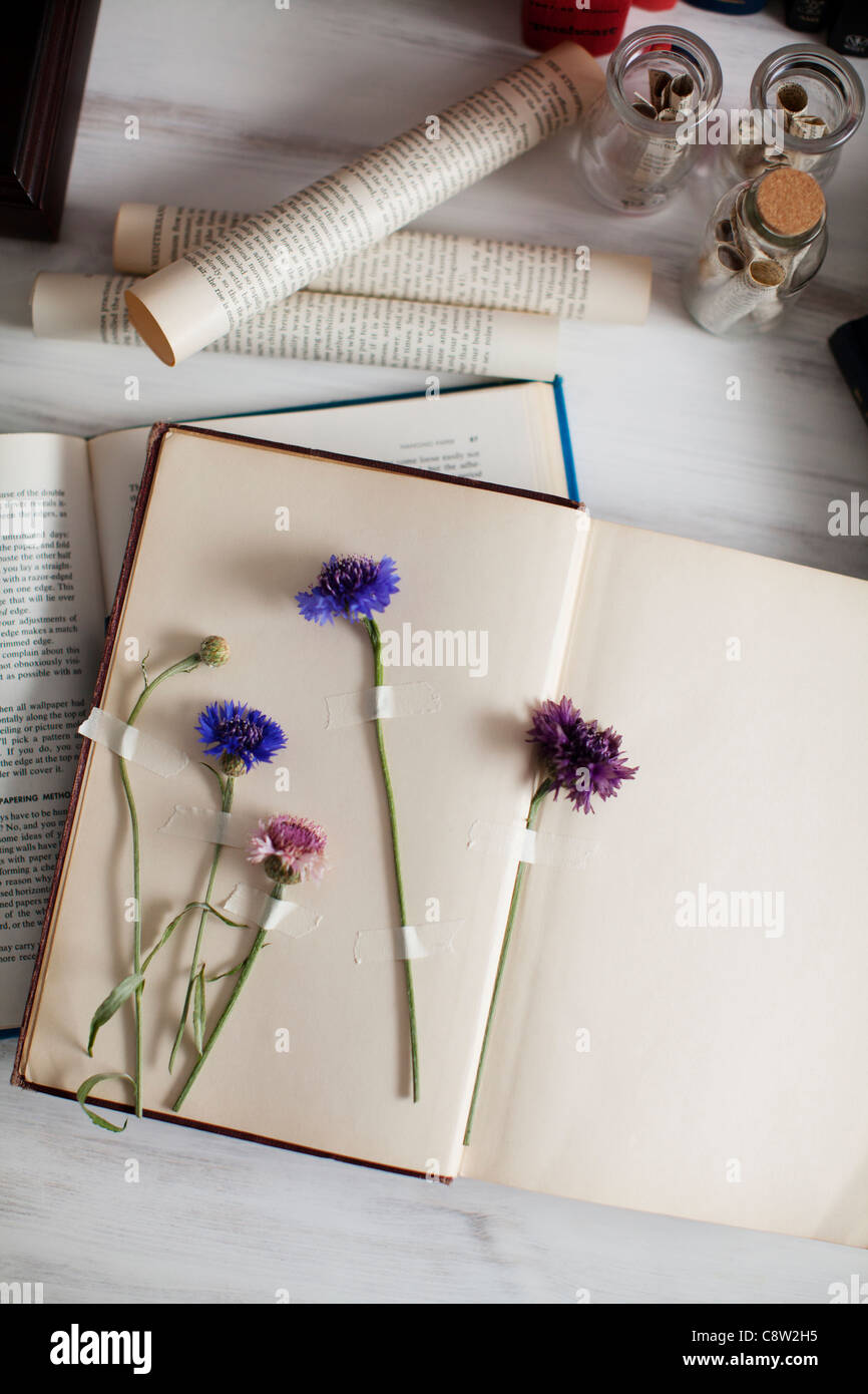 Flowers With Books Stock Photo - Alamy