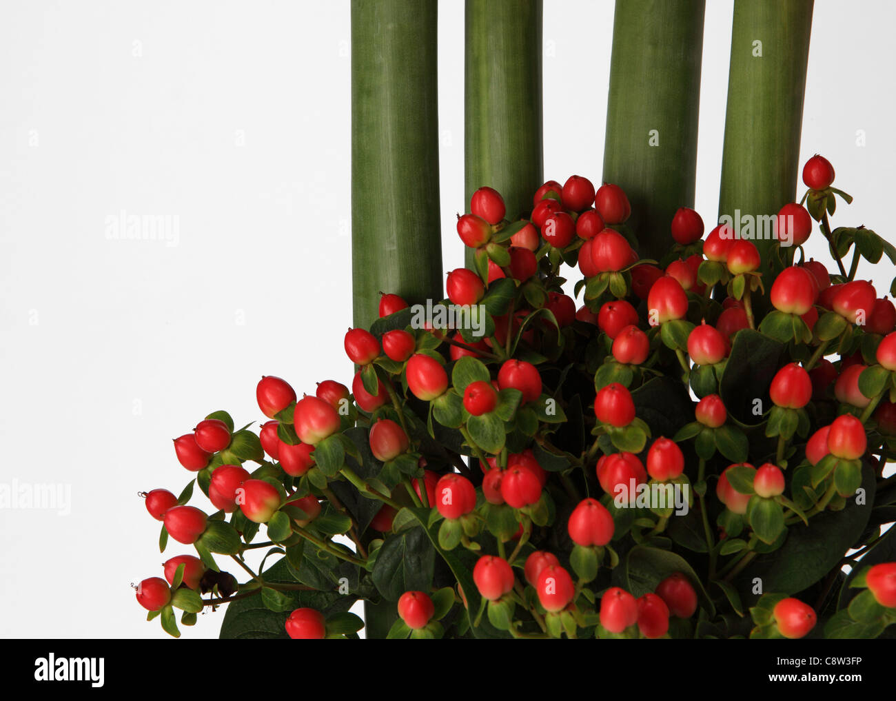 A close-up of a colorful bouquet of flowers. Small red buds Stock Photo ...