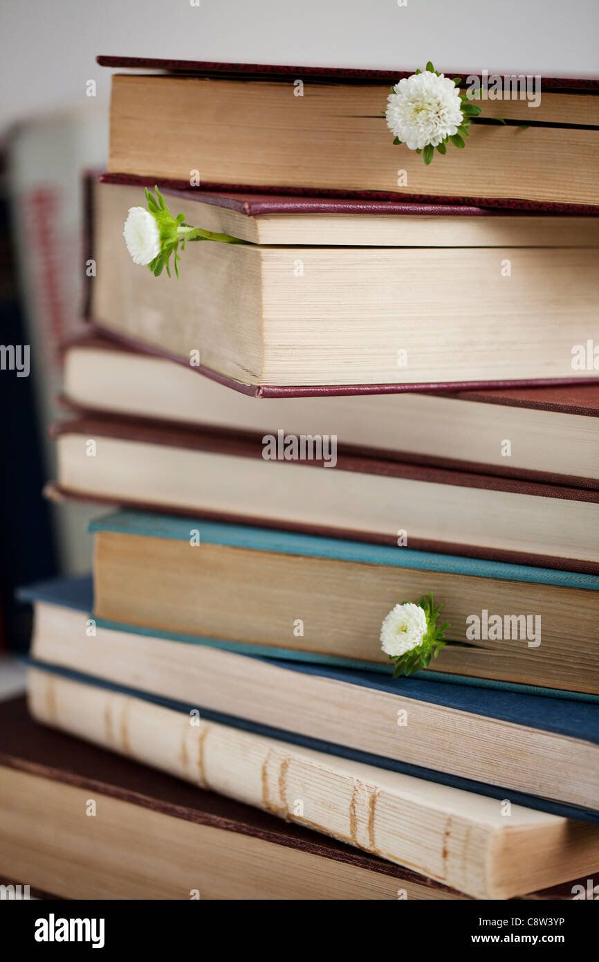 Flowers With Books Stock Photo - Alamy