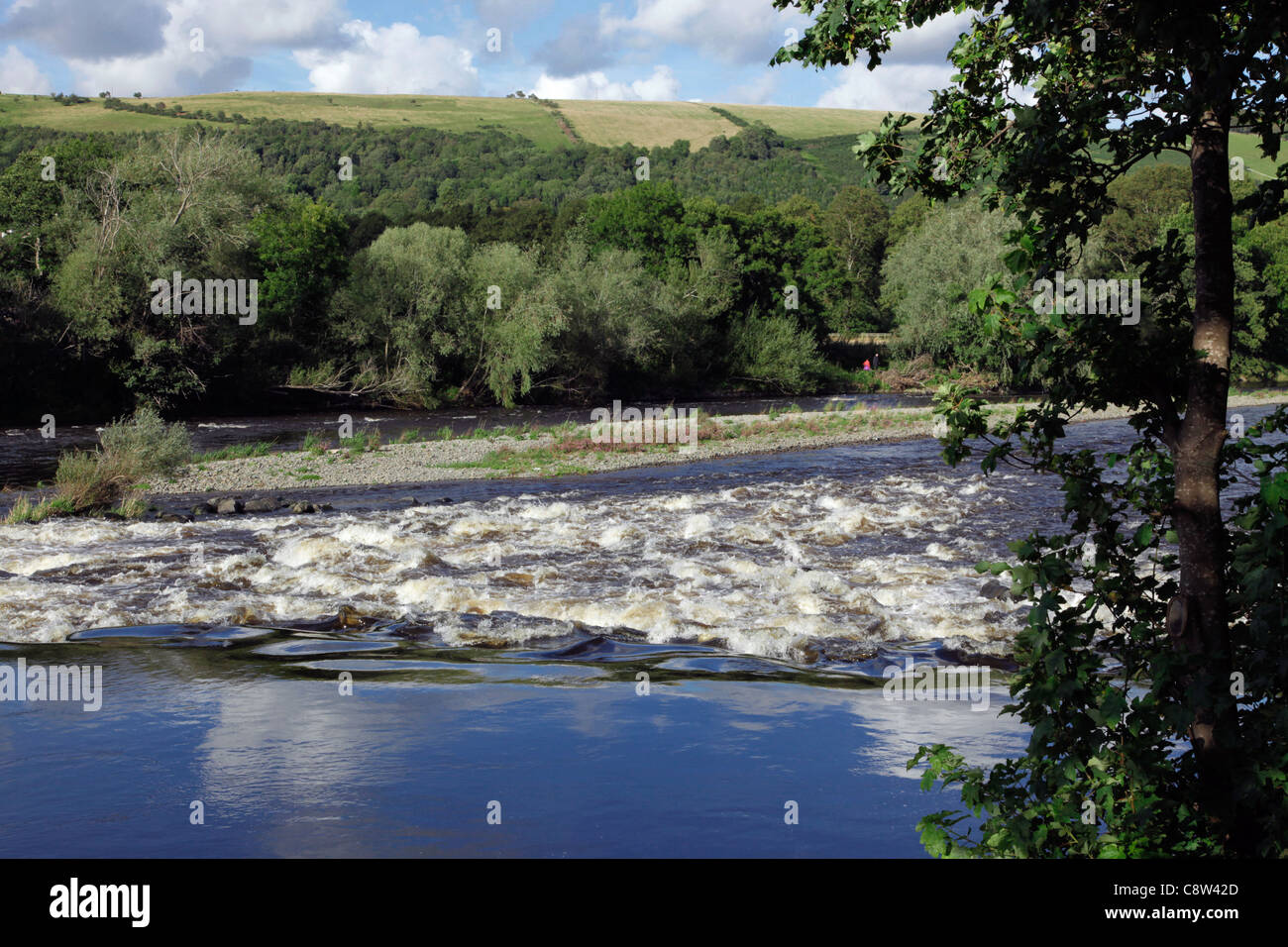 Rapids in River Tweed at Melrose Scottish Borders Stock Photo - Alamy