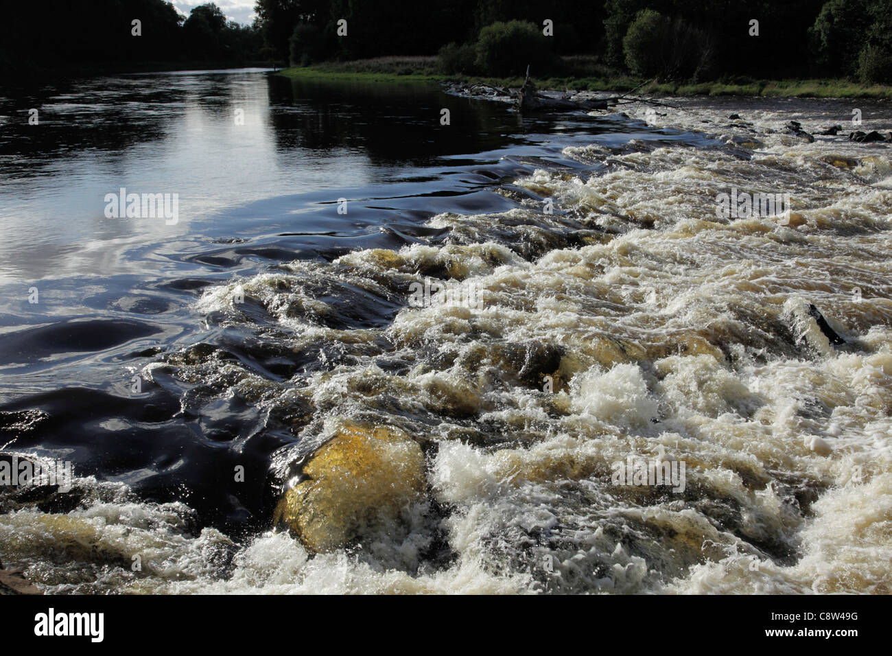 Rapids in River Tweed at Melrose Scottish Borders Stock Photo - Alamy