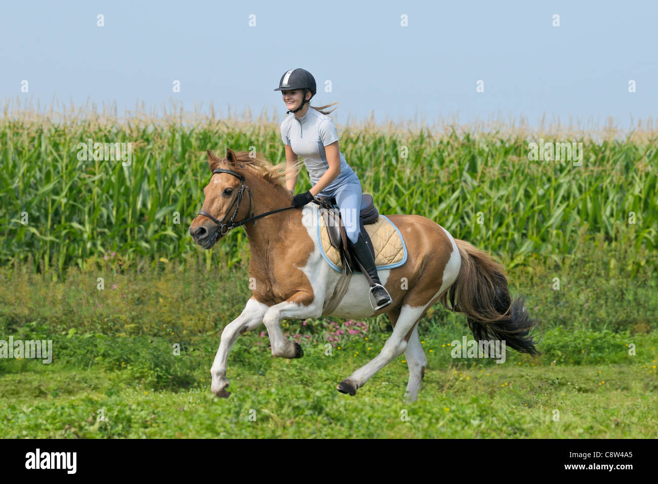 Young rider galloping on back of a pony Stock Photo - Alamy