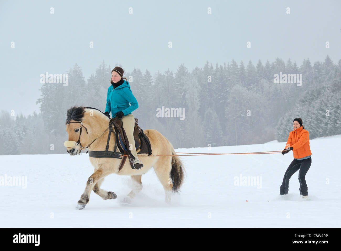 Skijoring and horse hi-res stock photography and images - Alamy