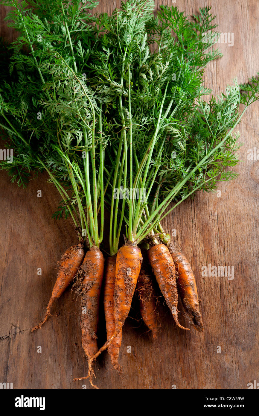 Organic Carrot On Table Stock Photo - Alamy