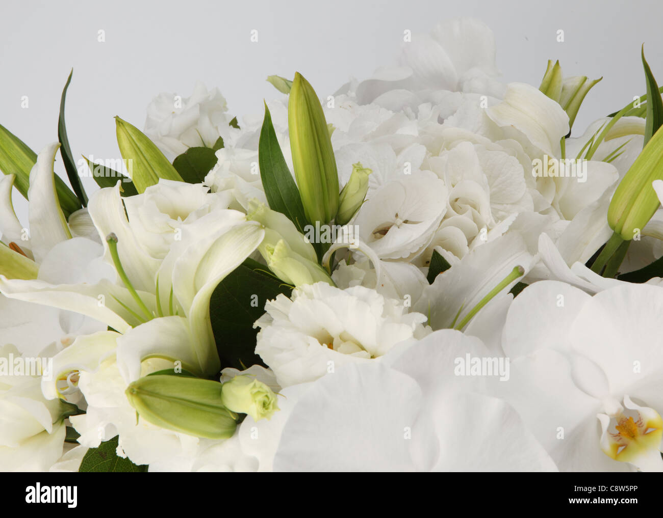 A close-up of a colorful bouquet of white flowers Stock Photo - Alamy