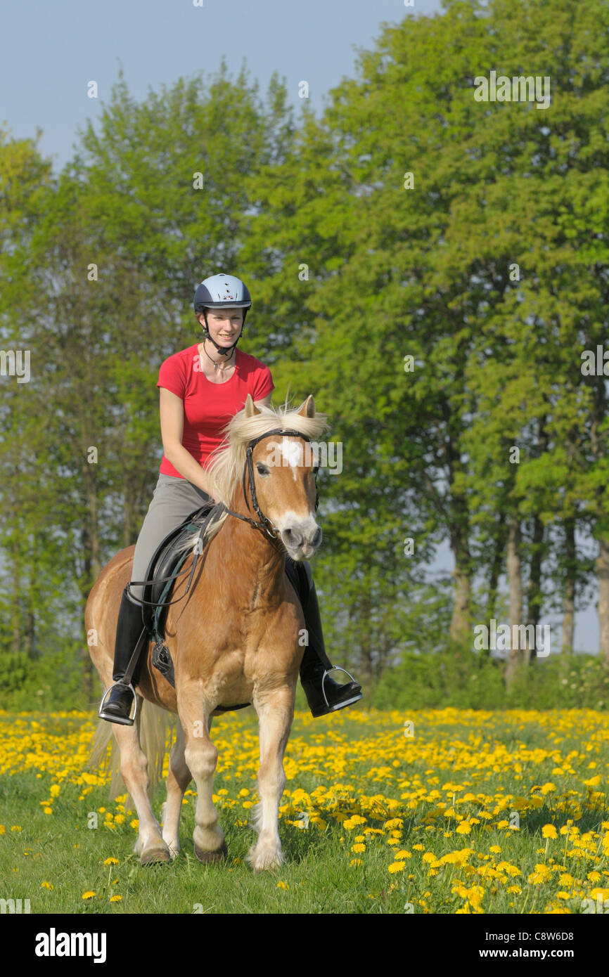 Women riding horses spring hi-res stock photography and images - Alamy