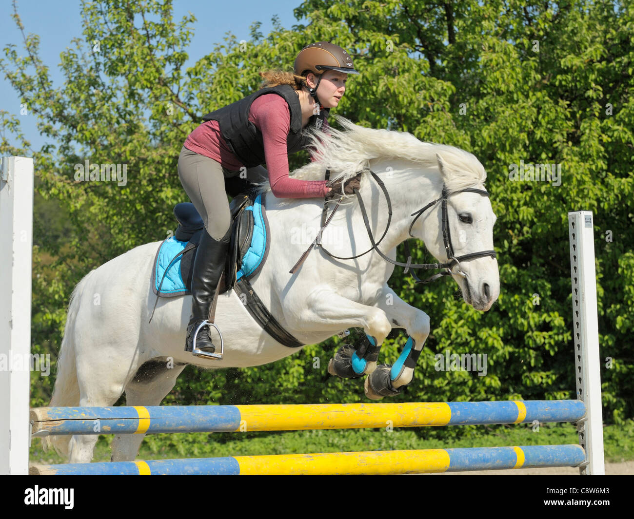 Rider on german riding pony hi-res stock photography and images - Alamy