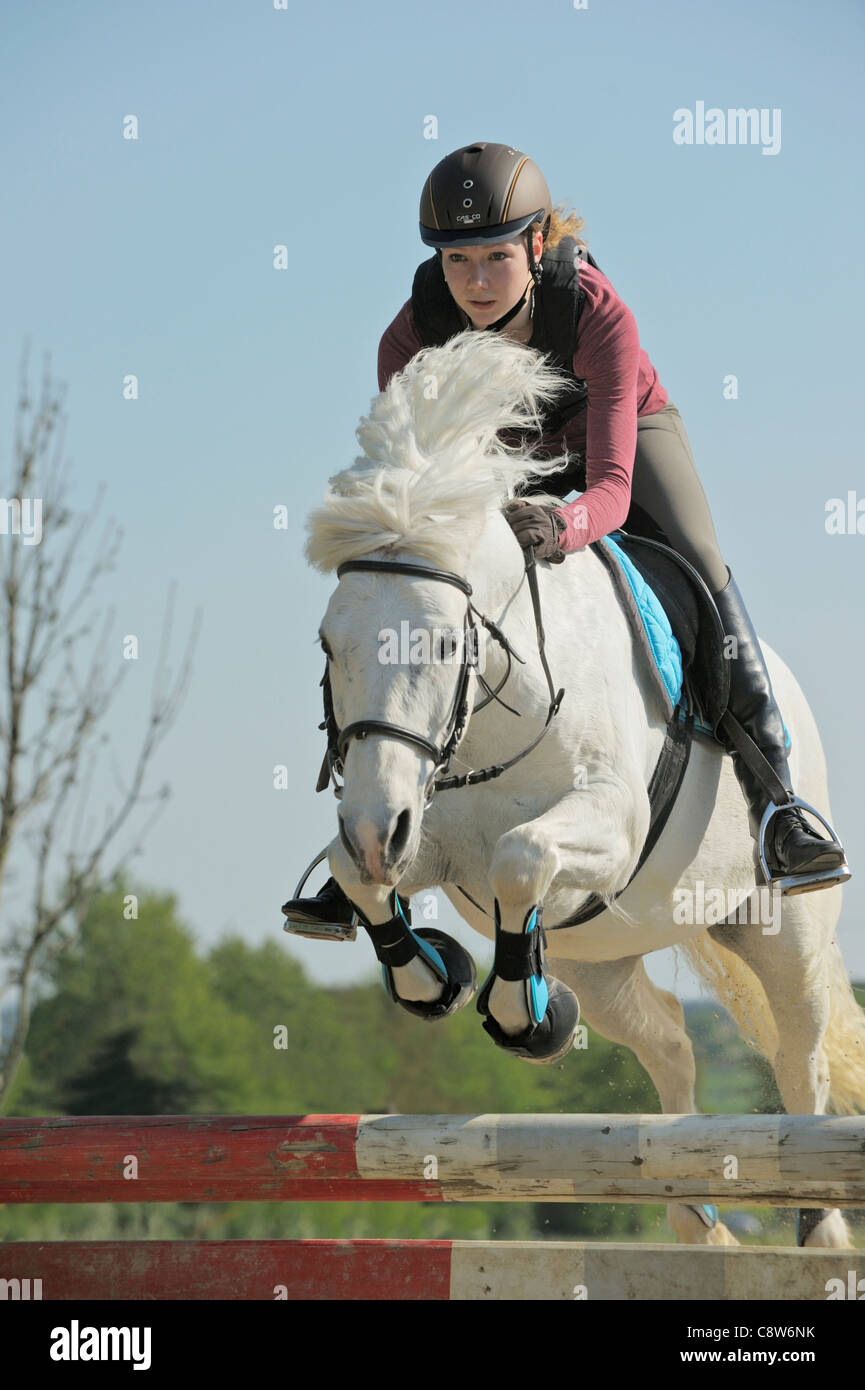 Rider on german riding pony hi-res stock photography and images - Alamy