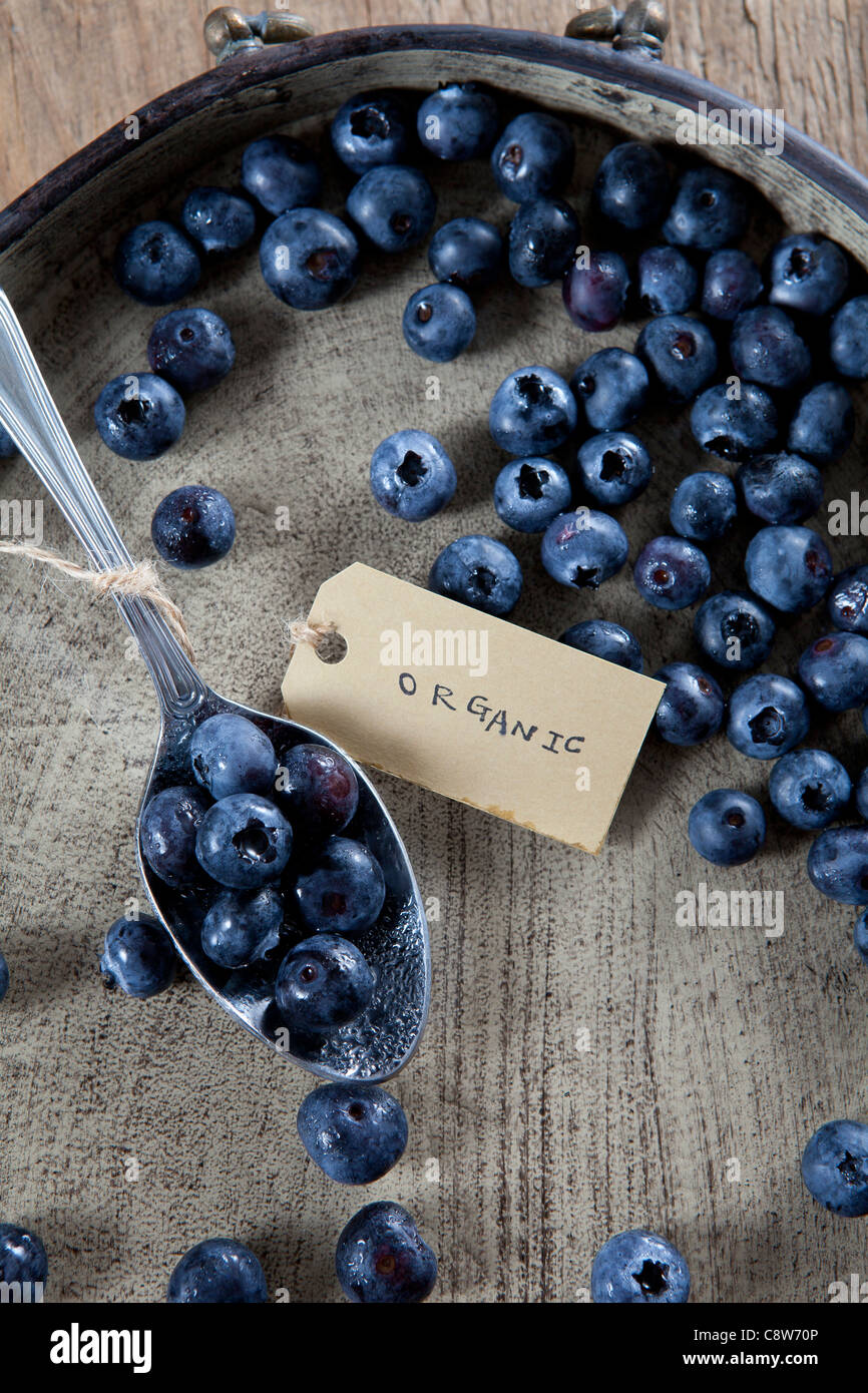 Organic Blueberry In A Tray Stock Photo - Alamy