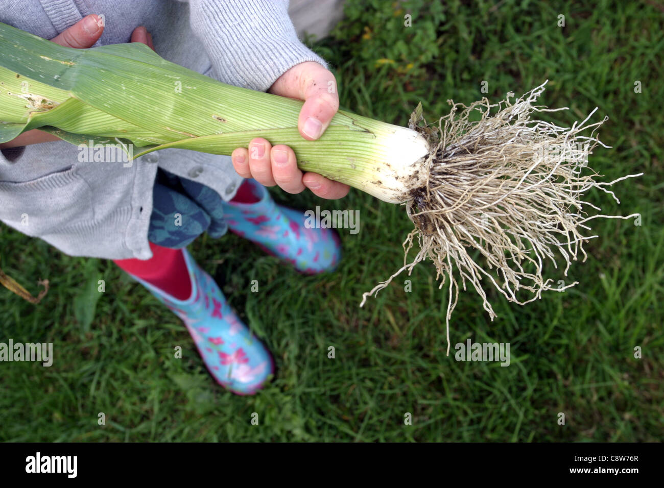 Girl holding a Leek Stock Photo - Alamy