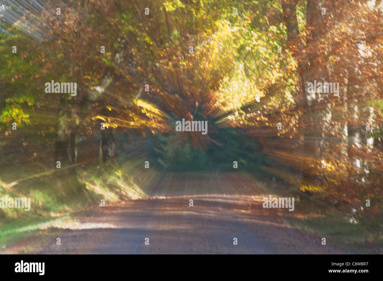 Long exposure image autumn trees hi-res stock photography and images ...