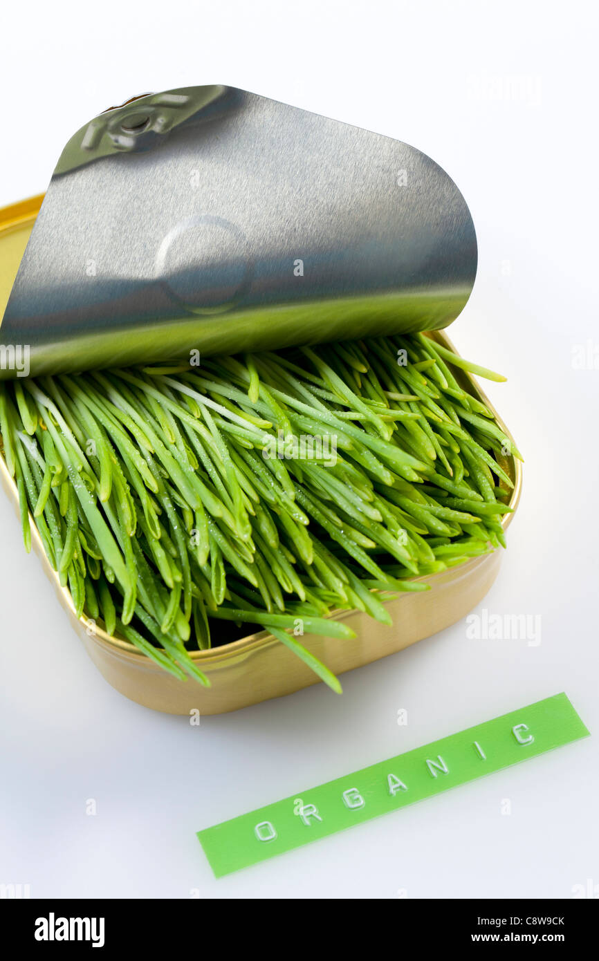 Organic Vegetable In A Tin Stock Photo - Alamy