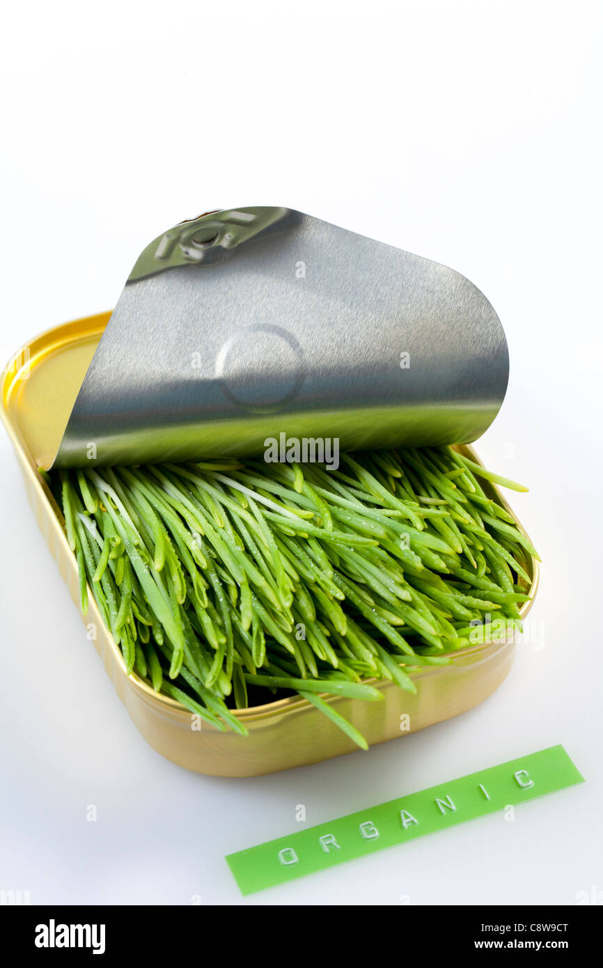 Organic Vegetable In A Tin Stock Photo - Alamy