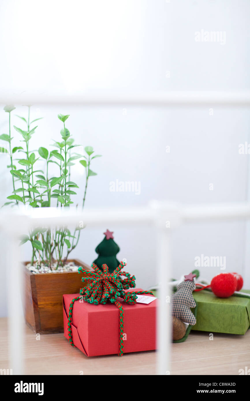Wrapped Gift Boxes With Potted Plant Stock Photo - Alamy