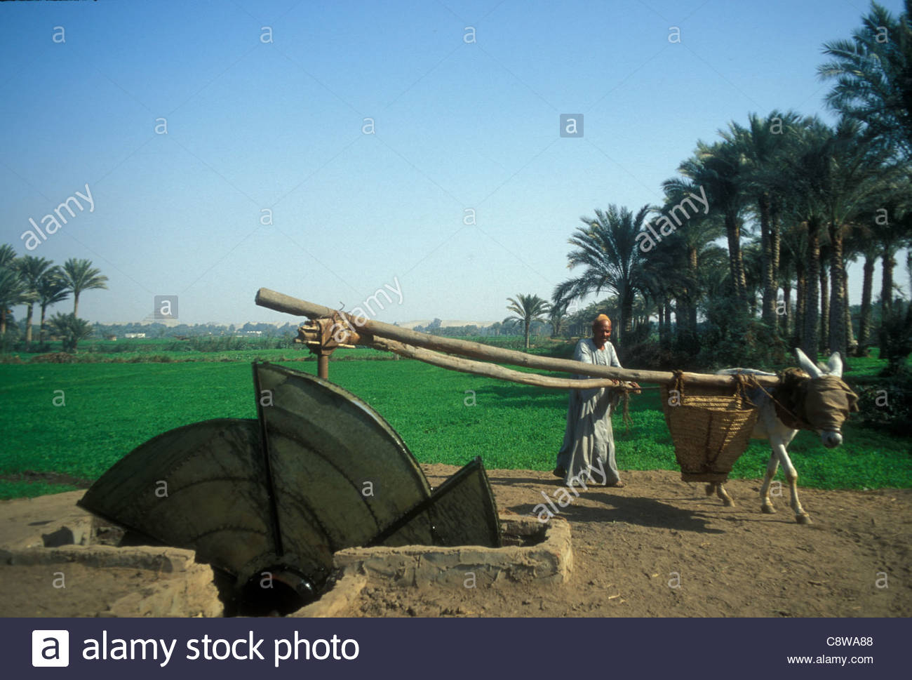 A sakia water wheel in use in Egypt Stock Photo, Royalty Free Image ...