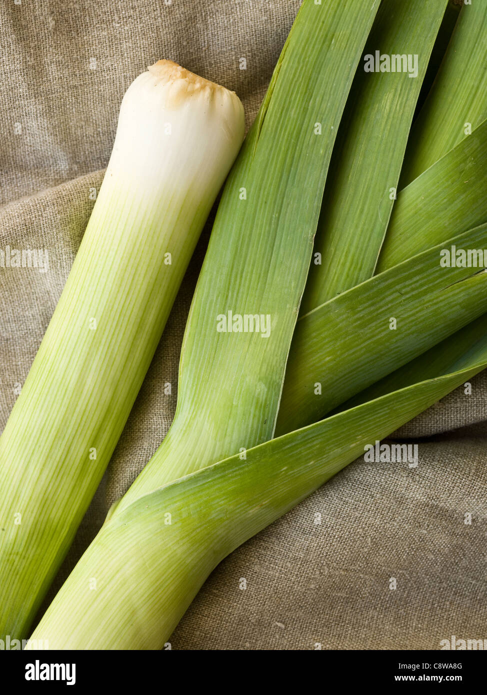 Leek photography hi-res stock photography and images - Alamy