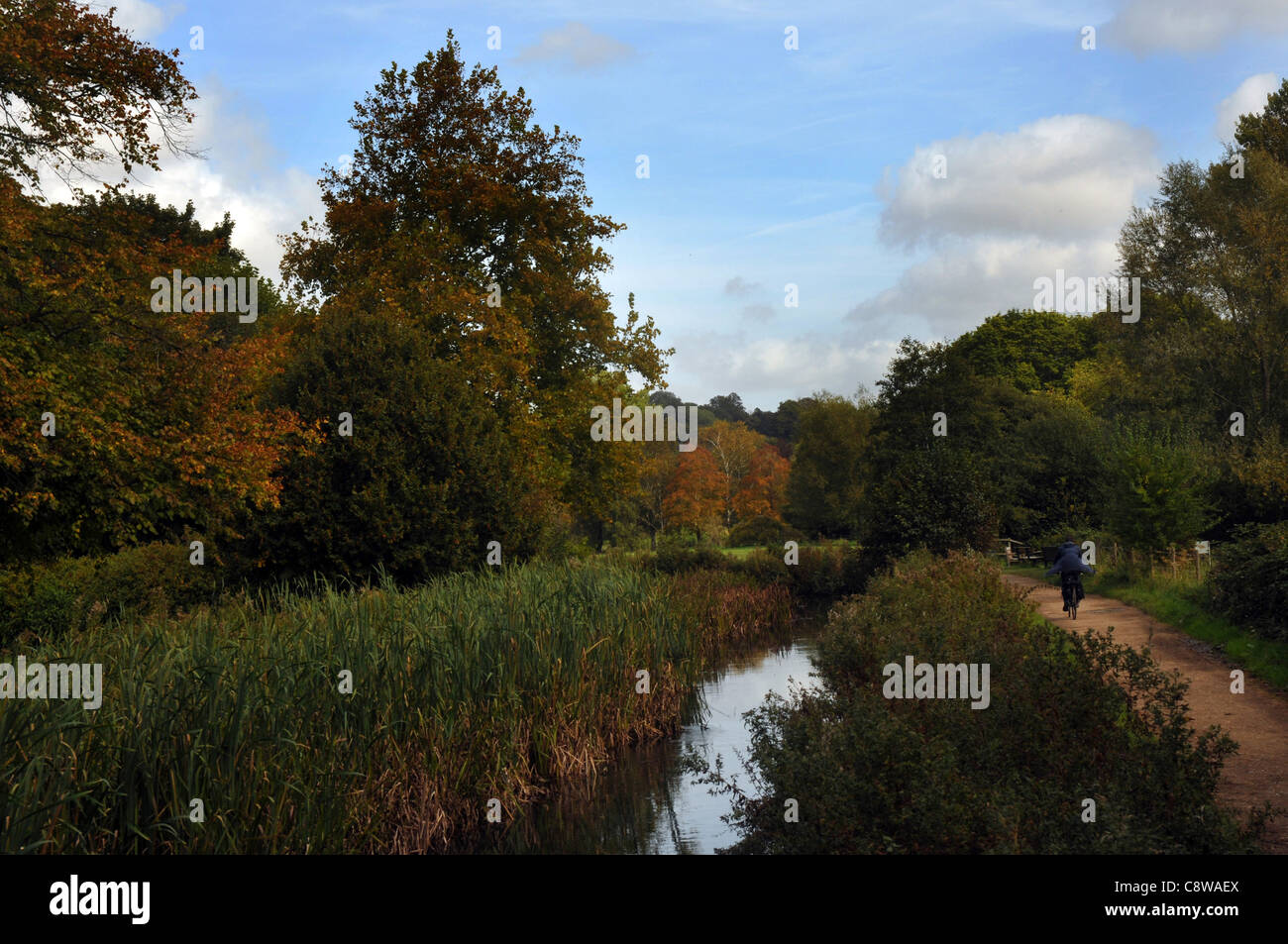 Itchen meadows hi-res stock photography and images - Alamy