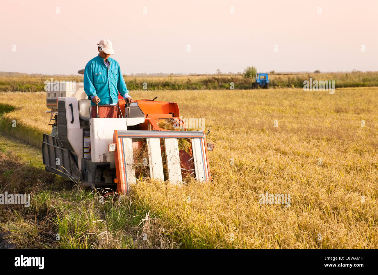 China rice combine harvester hi-res stock photography and images - Alamy