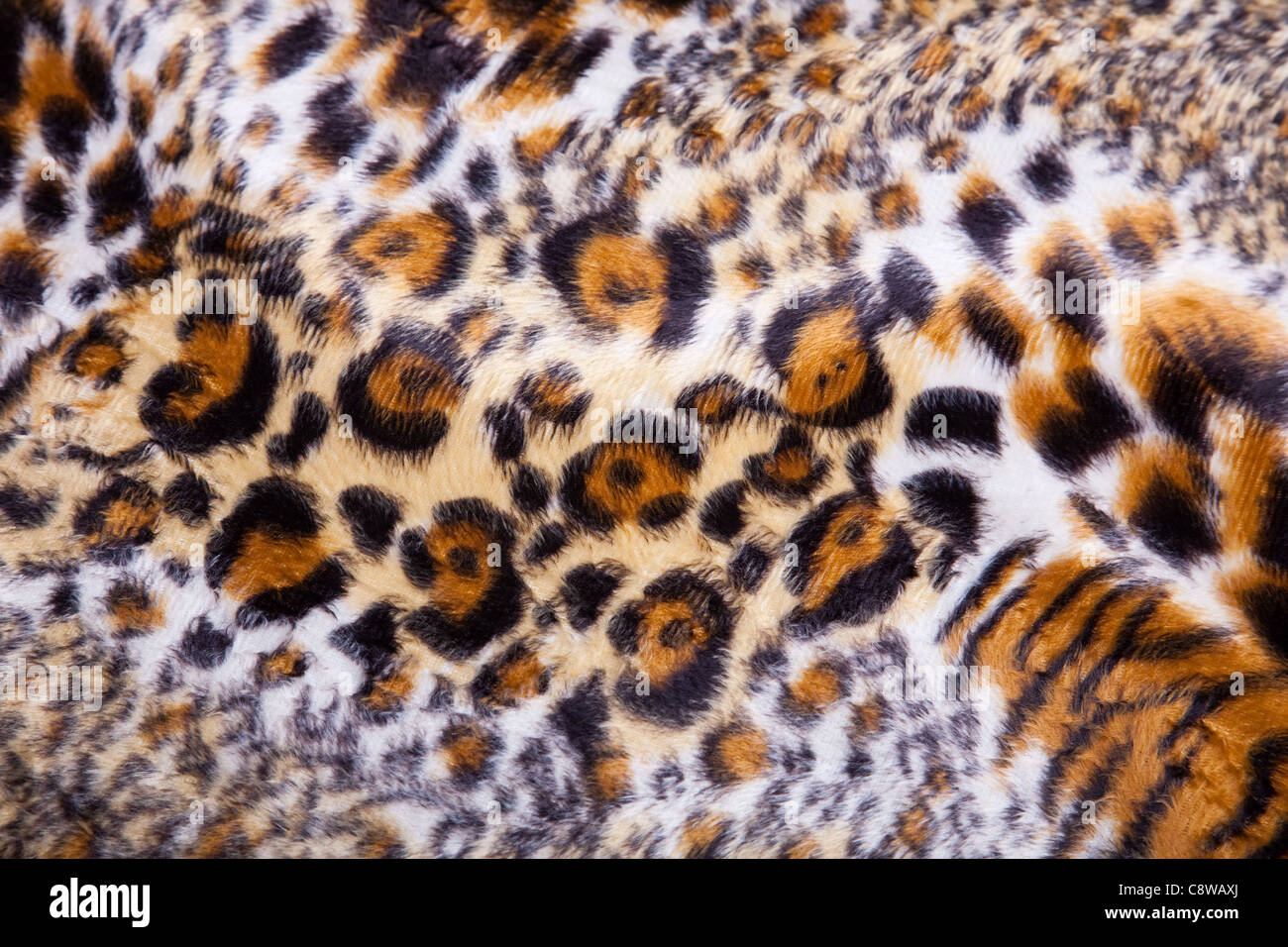 Close up of Leopard Fur background Stock Photo - Alamy