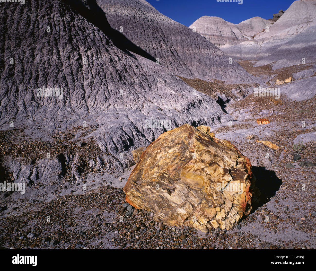 ARIZONA - Petrified wood on Blue Mesa in Petrified Forest National Park ...