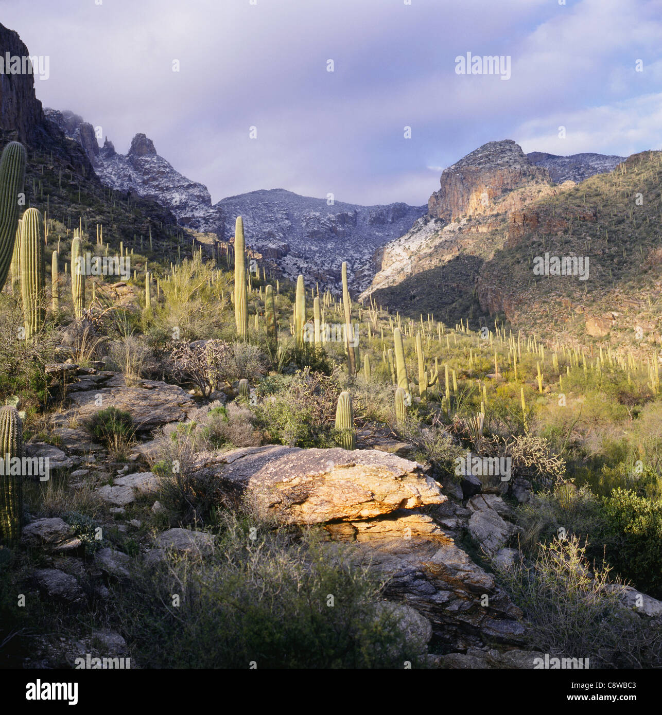 Finger rock arizona hi-res stock photography and images - Alamy