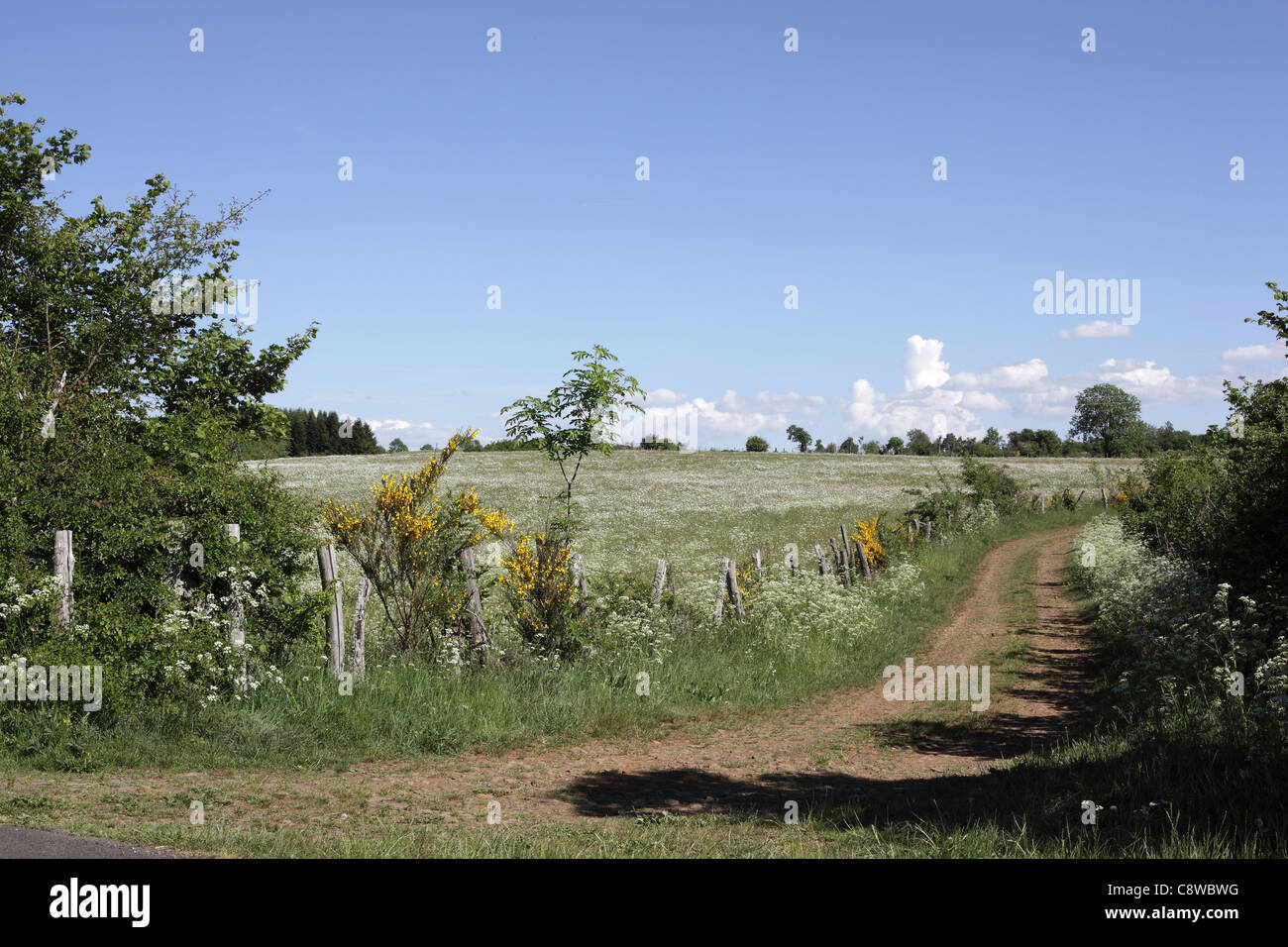 Rural scene with country lane, The Aveyron area, France, May 2011 Stock ...