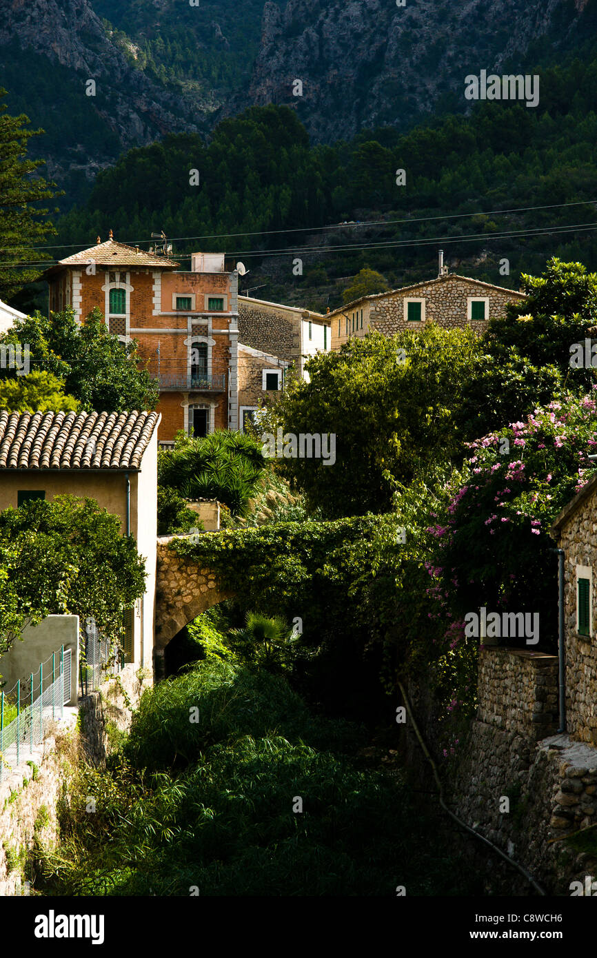 Soller valley is famous for it's production of oranges and lemons Stock ...