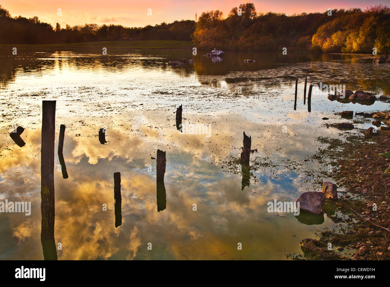 An autumn sunset over the lake at Colwick Country Park, Nottingham ...