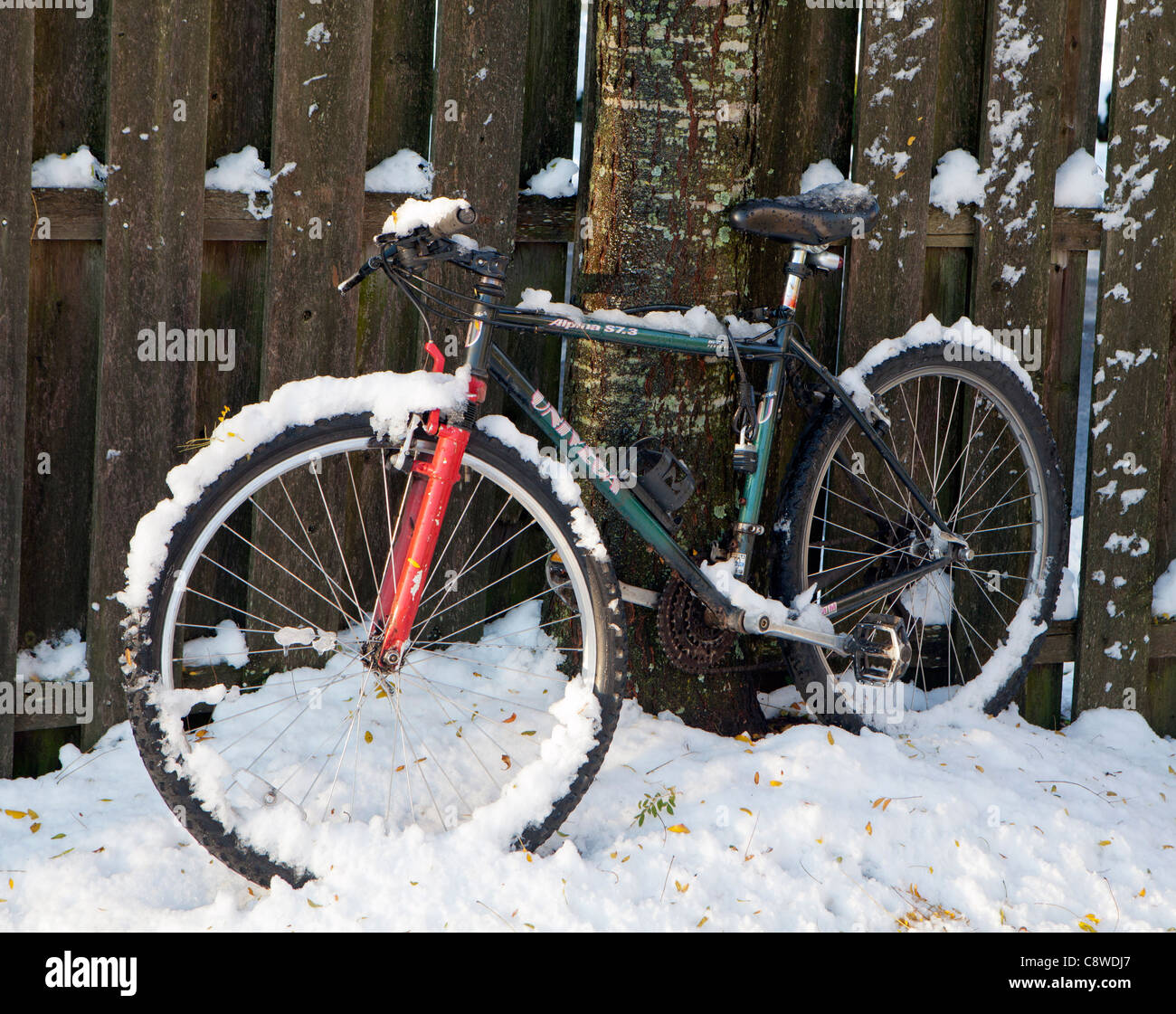 Chained to tree hi-res stock photography and images - Alamy