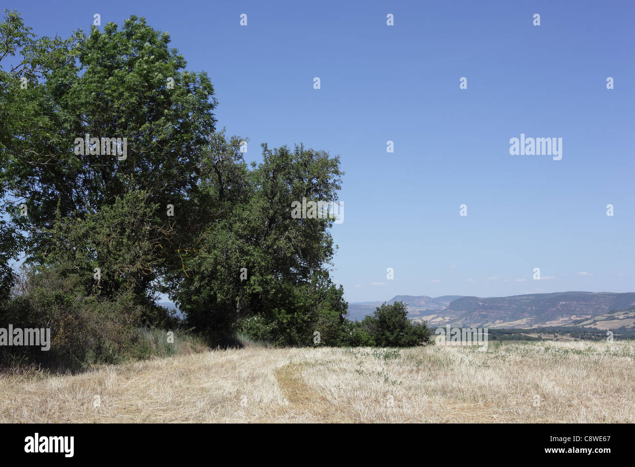Rural Scene with field, trees,and hills, France, May 2011 Stock Photo ...
