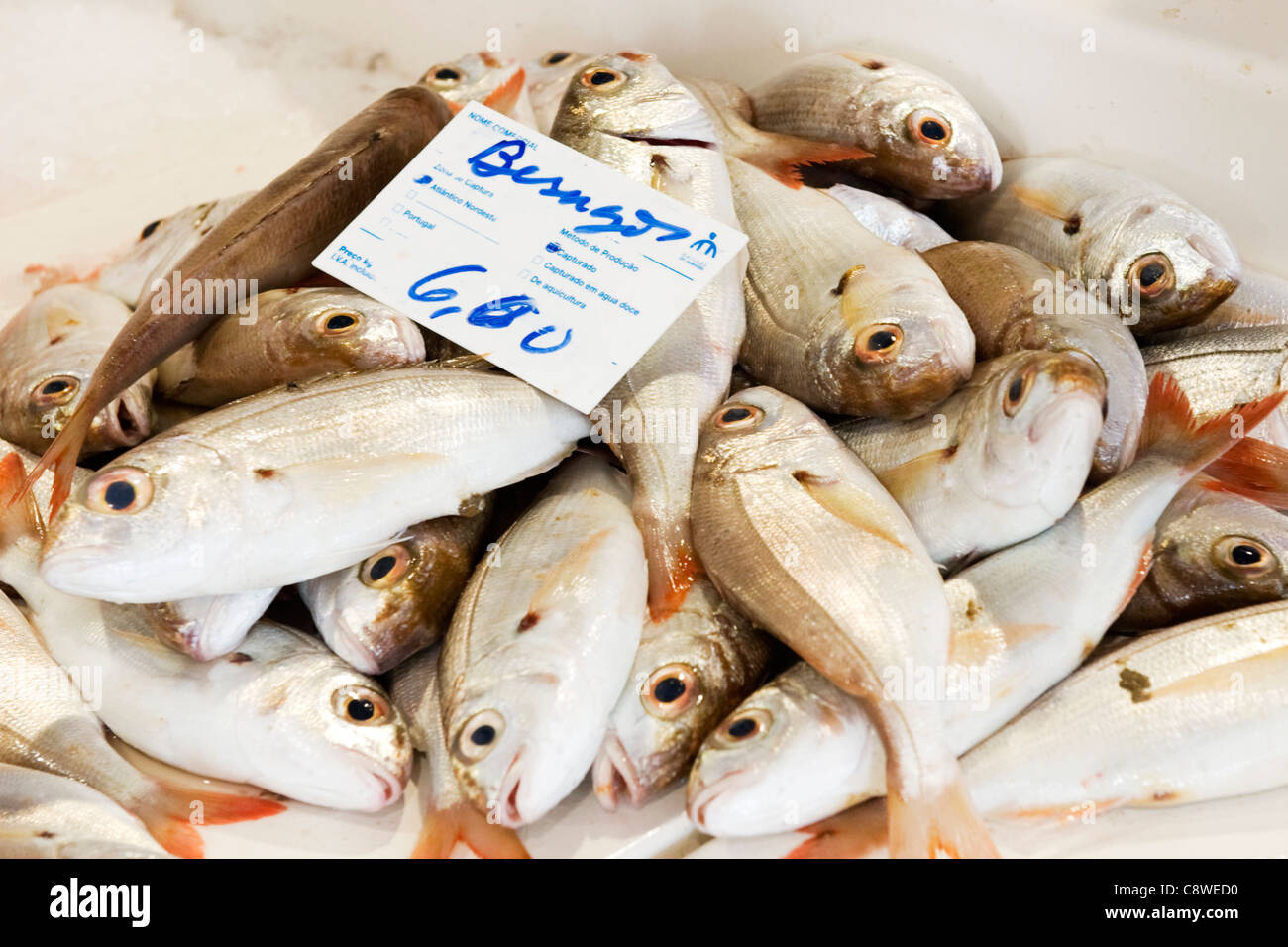 Indoor market lagos portugal hi-res stock photography and images - Alamy