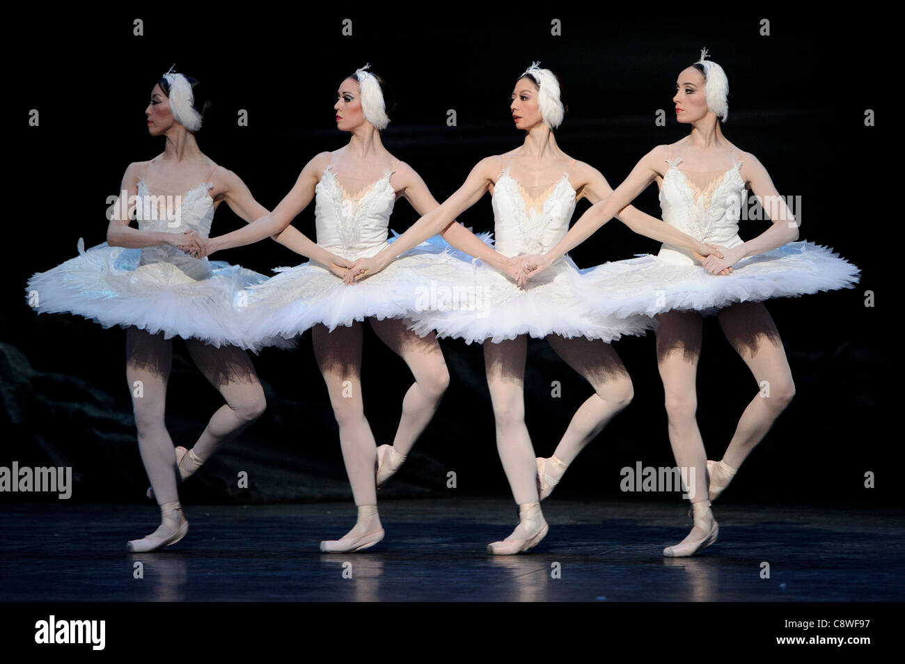 Swan lake ballet hi-res stock photography and images - Alamy