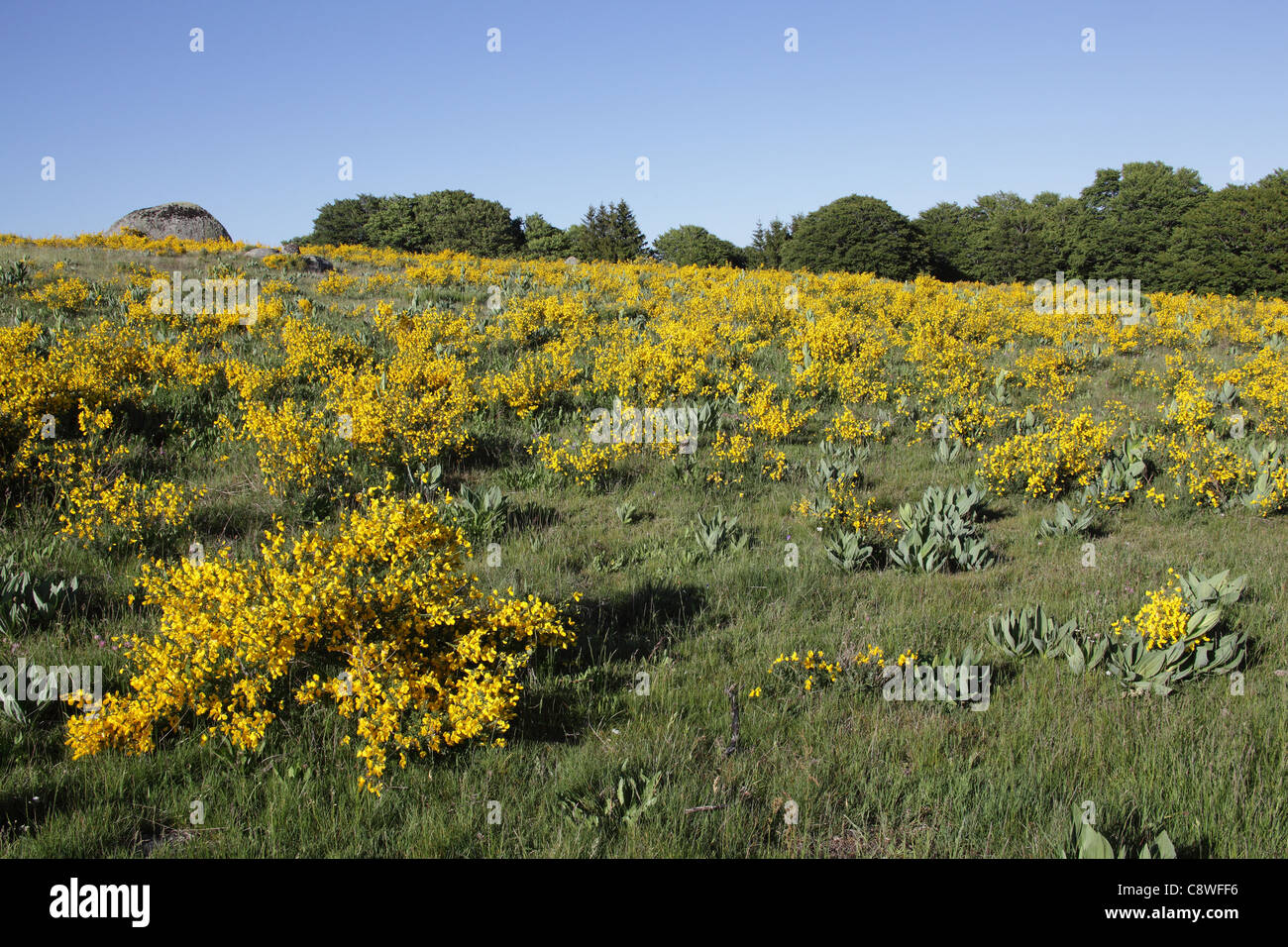 Rural france scene hi-res stock photography and images - Alamy