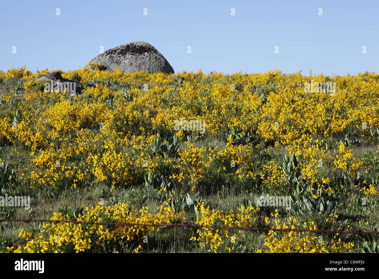 Rural france scene hi-res stock photography and images - Alamy