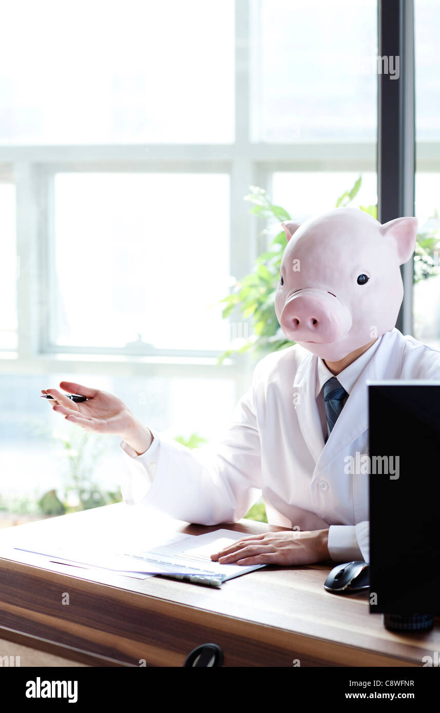 Pig At Desk