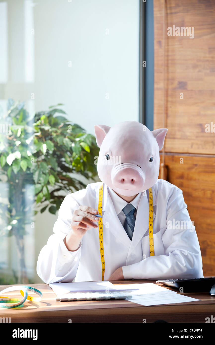 Pig At Desk