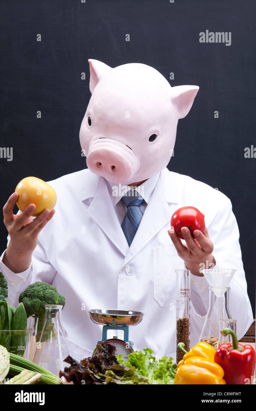 Pig Head Nutritionist Point Experiment With Vegetables Stock Photo - Alamy