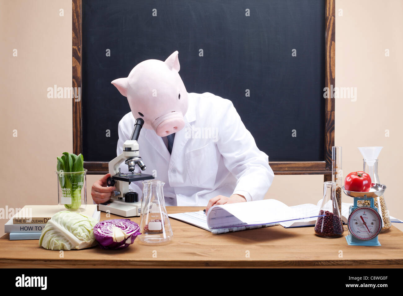 Pig Head Nutritionist Looking Through Microscope And Writing Down Stock ...