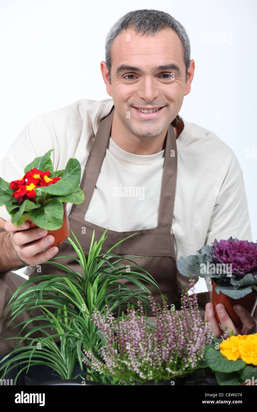 A gardener with his plants Stock Photo - Alamy